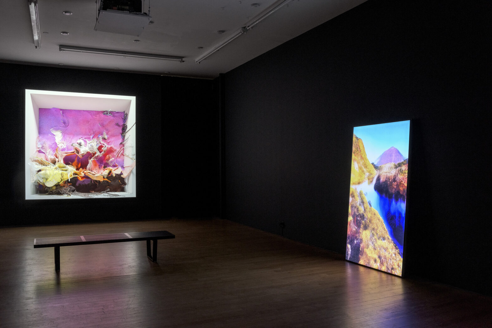 Steven Sacks: 20+ years at the forefront of new media art - Niio Blog