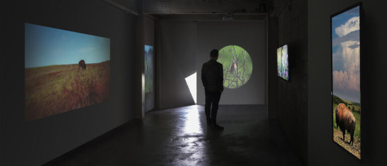 Aaron Higgins: The landscape has it all - Niio Blog
