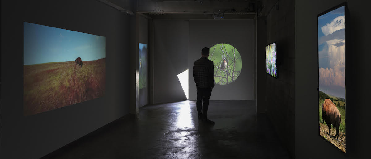 Aaron Higgins: The landscape has it all - Niio Blog