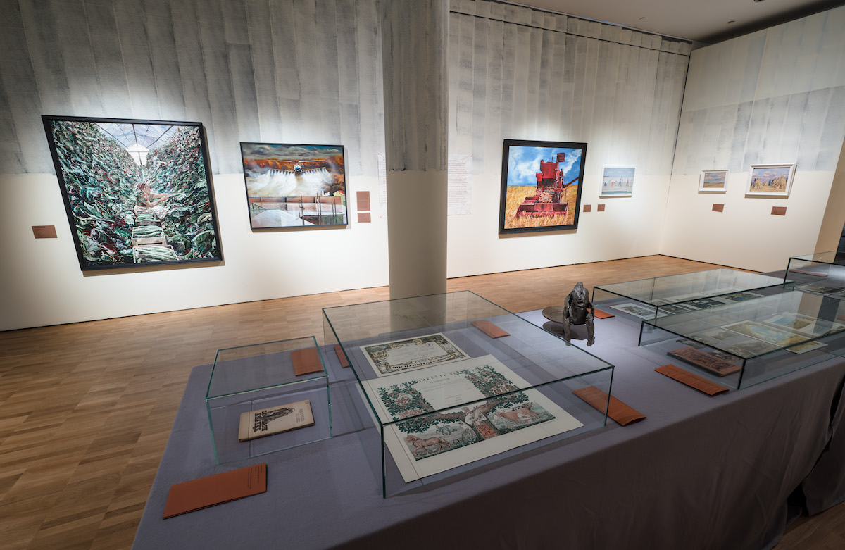 What is the role of art museums in the Anthropocene? - Niio Blog